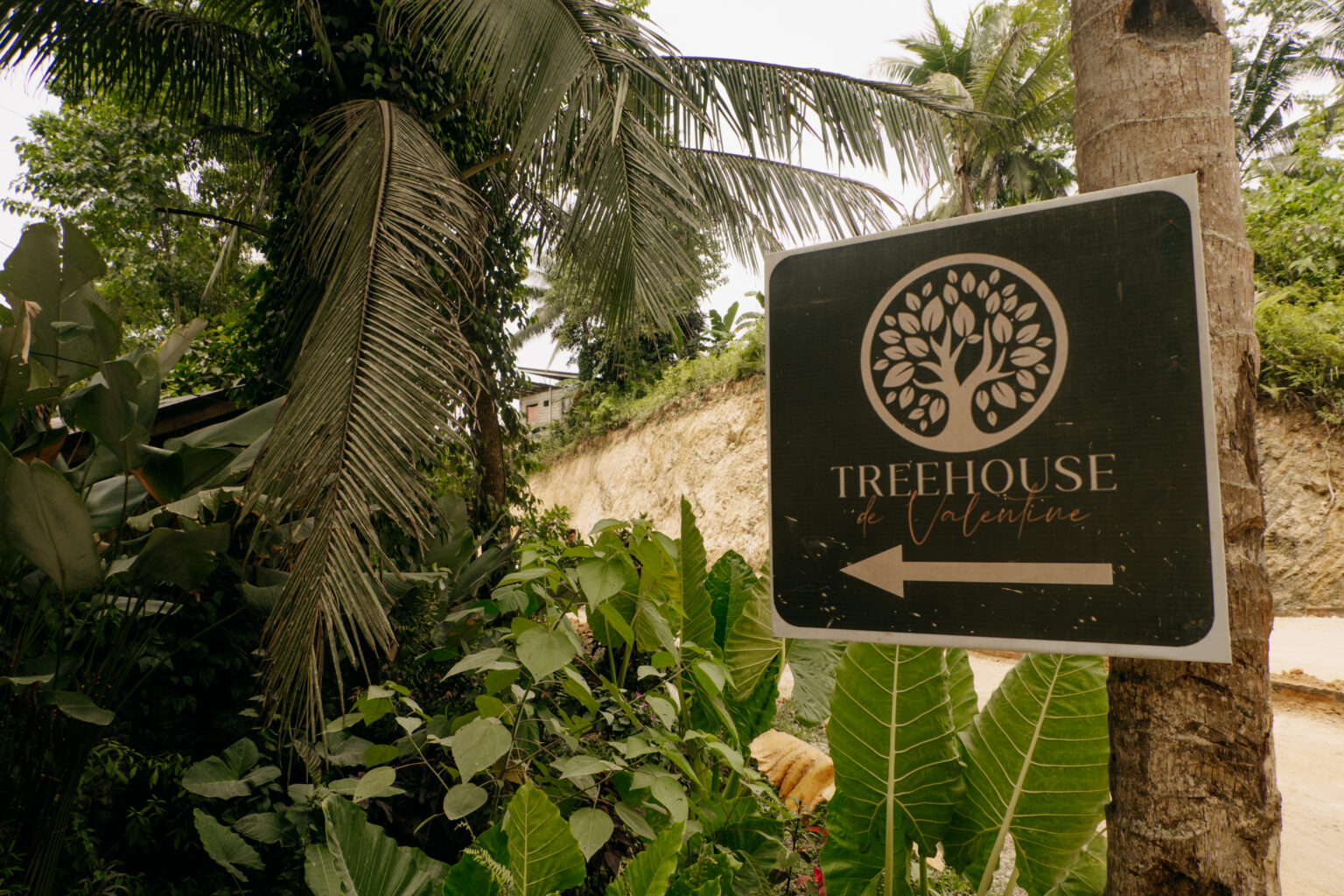 Nature Mountain Resort Balamban Cebu - Treehouse de Valentine